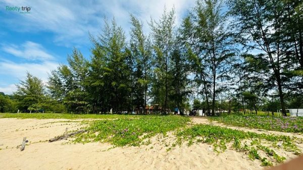 Cua Can beach Phu Quoc – The quiet charm of raw nature