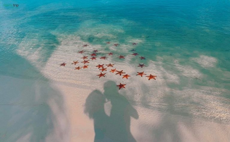 Rach Vem Fishing Village Tour