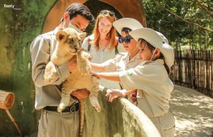 Experience visiting at Vinpearl Safari Phu Quoc from A-Z